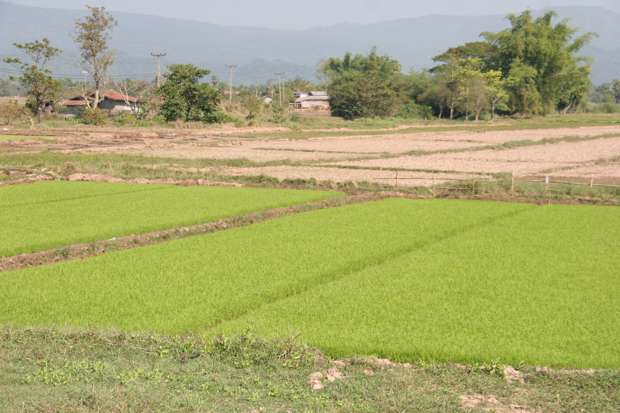 Lao Community Service Center